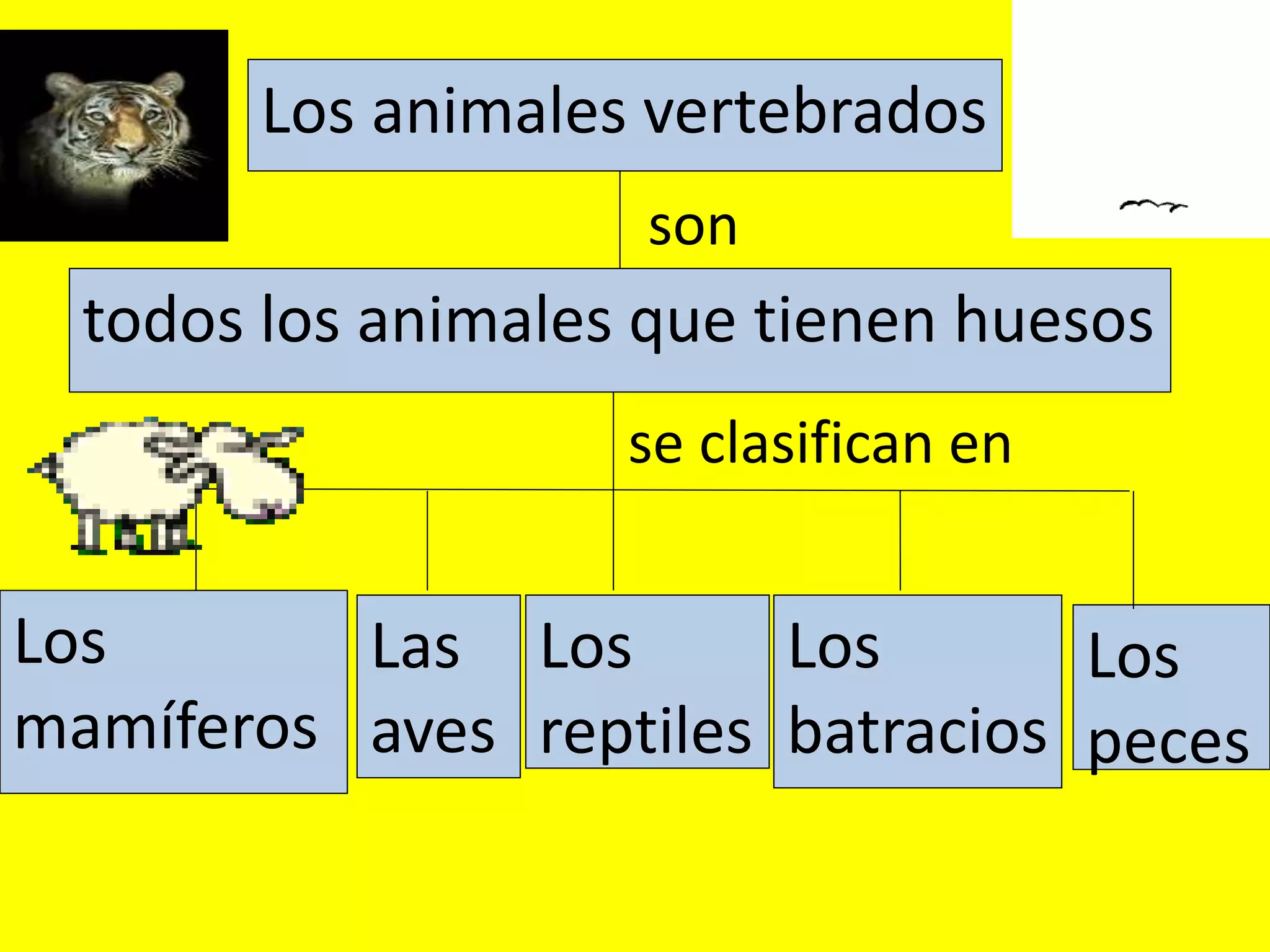 Animales vertebrados | PPT