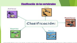 Animales vertebrados | PPT