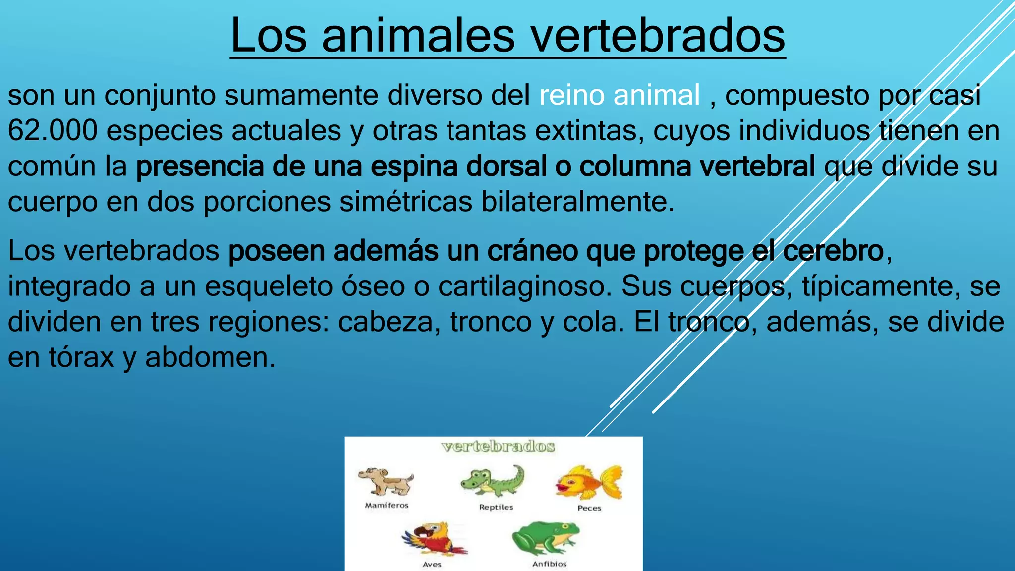 animales vertebrados.pptx