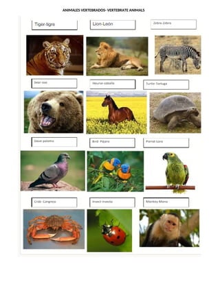 Animales vertebrados e invertebrados dis | DOCX
