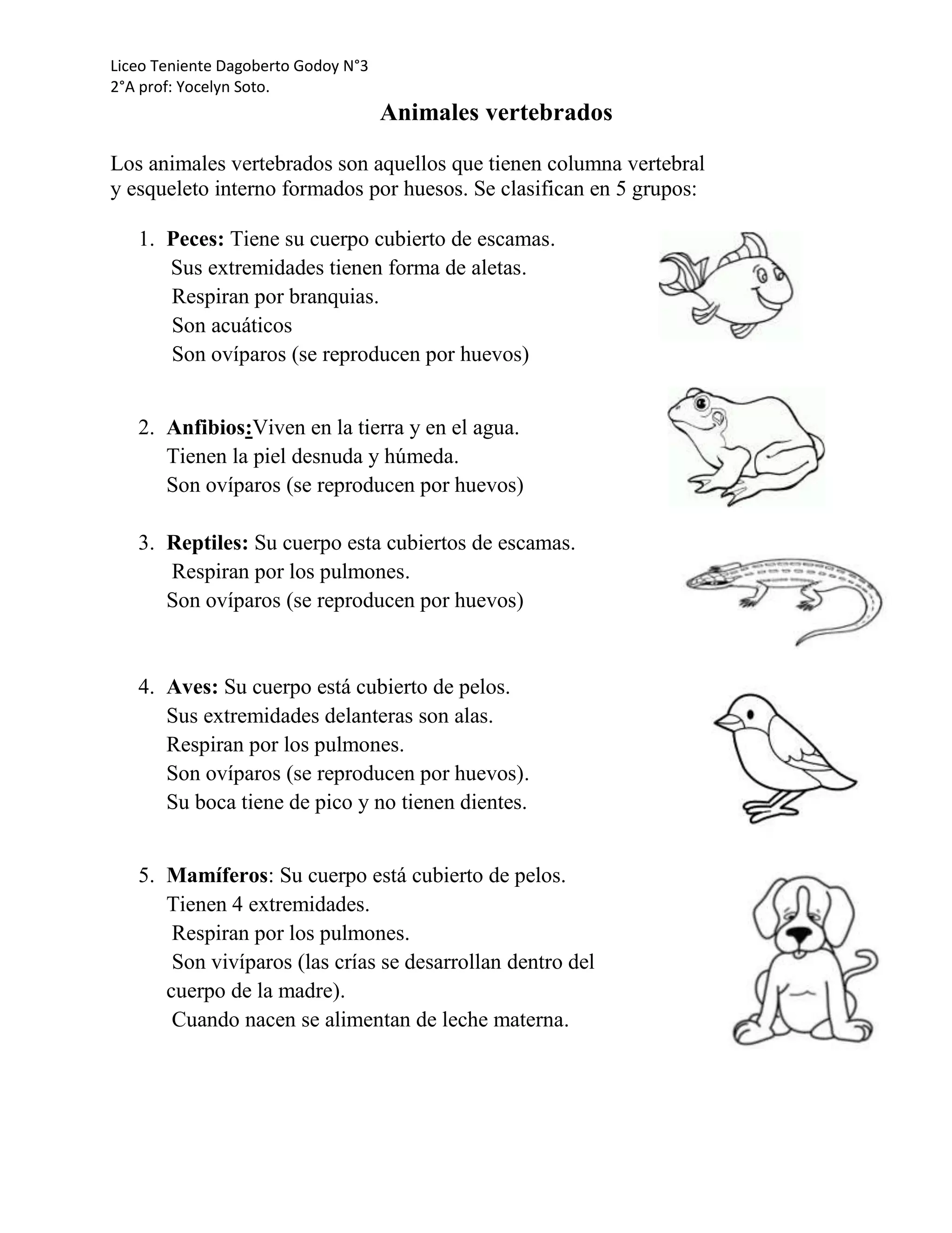 Animales vertebrados1 | DOCX