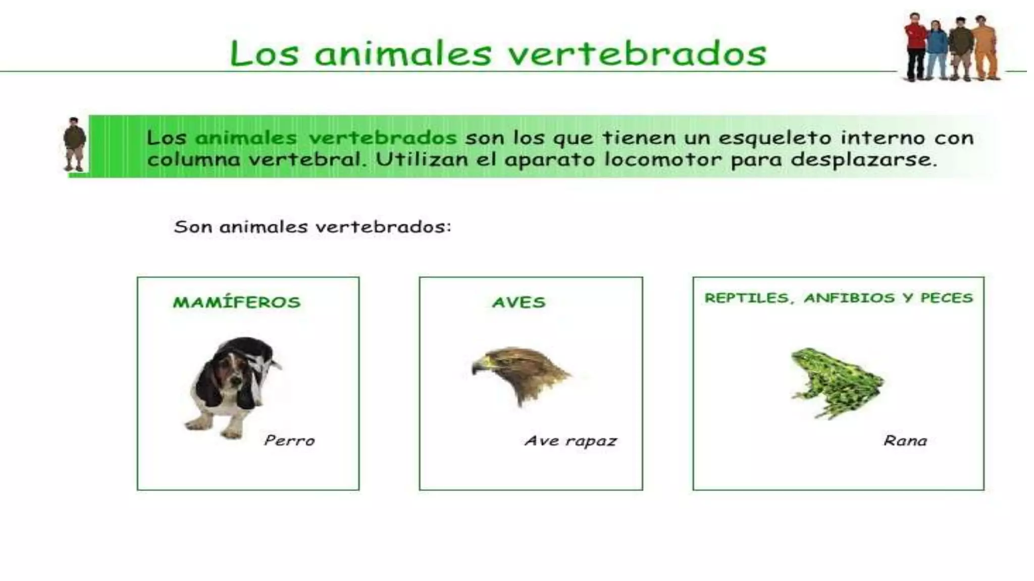 Animales vertebrados | PPT