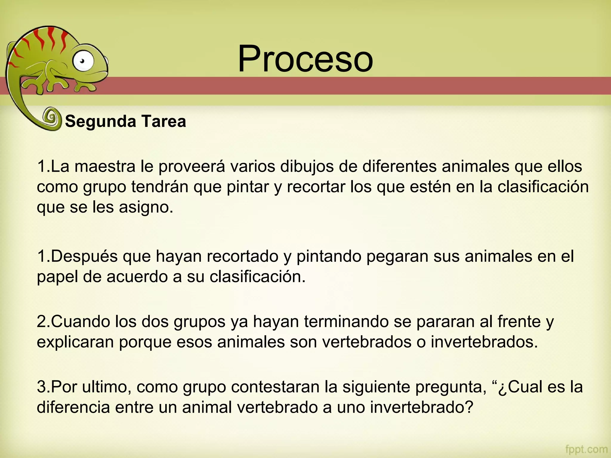 Animales vertebrados e invertebrados | PPT