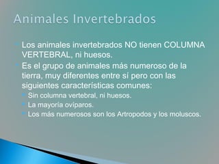 Animales vertebrados e invertebrados | PPT