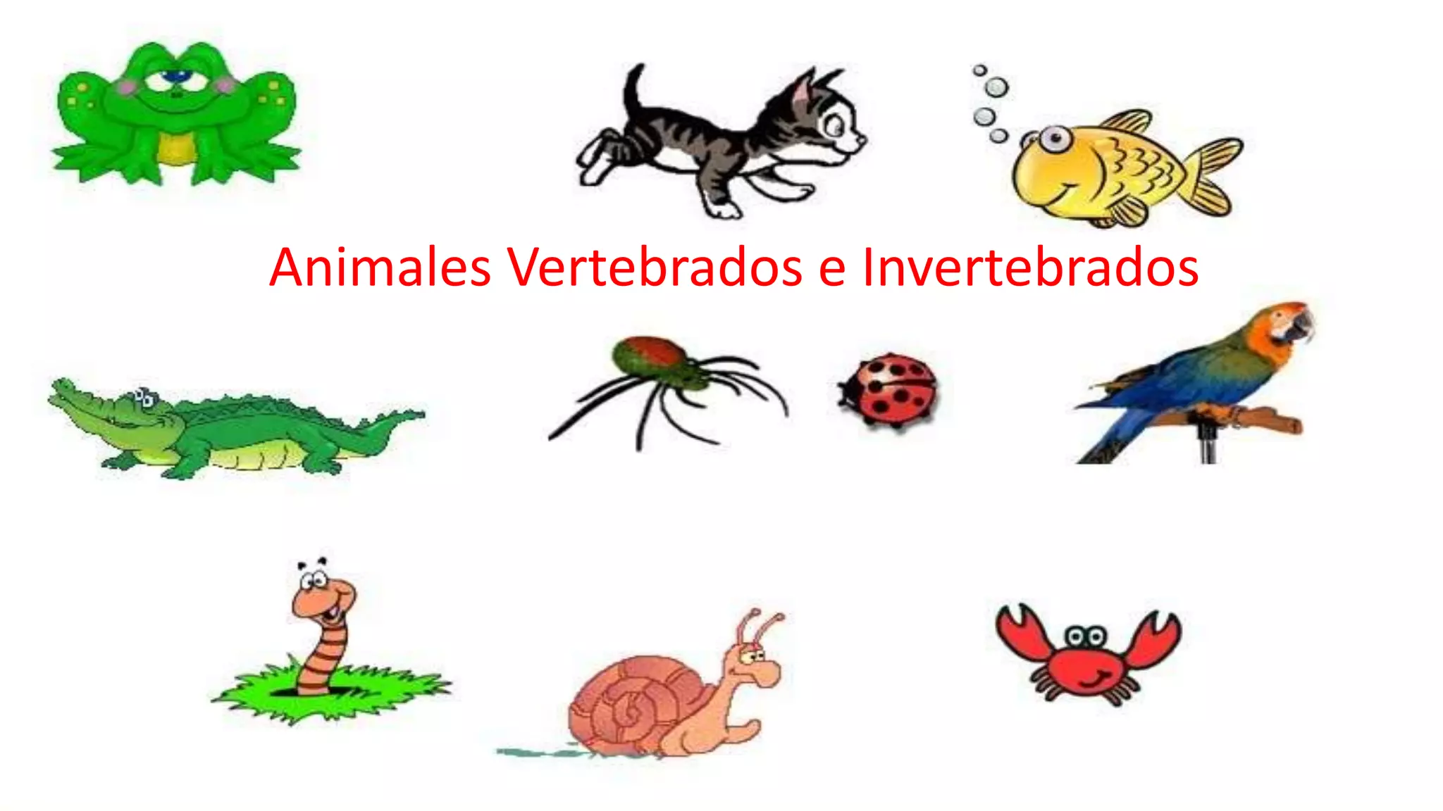 Animales vertebrados e invertebrados | PPTX | Reptiles | Pets