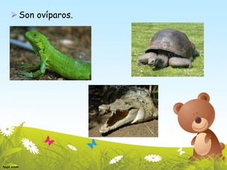 animales vertebrados e invertebrados..pptx
