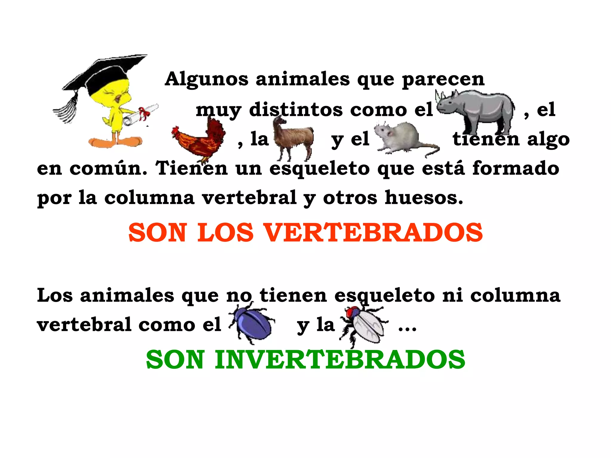 ANIMALES VERTEBRADOS E INVERTEBRADOS.ppt
