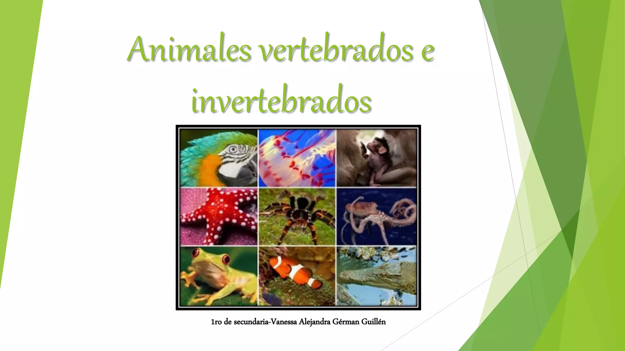 Vertebrados E Invertebrados
