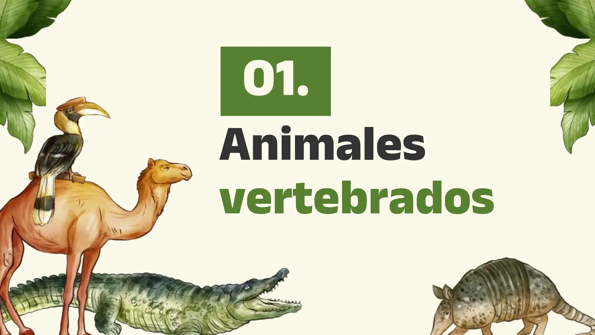 ANIMALES VERTEBRADOS E INVERTEBRADOS DIAPOSITIVAS | PPT