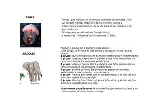 Animales vertebrados e invertebrados trabajo para grupos susan | DOCX