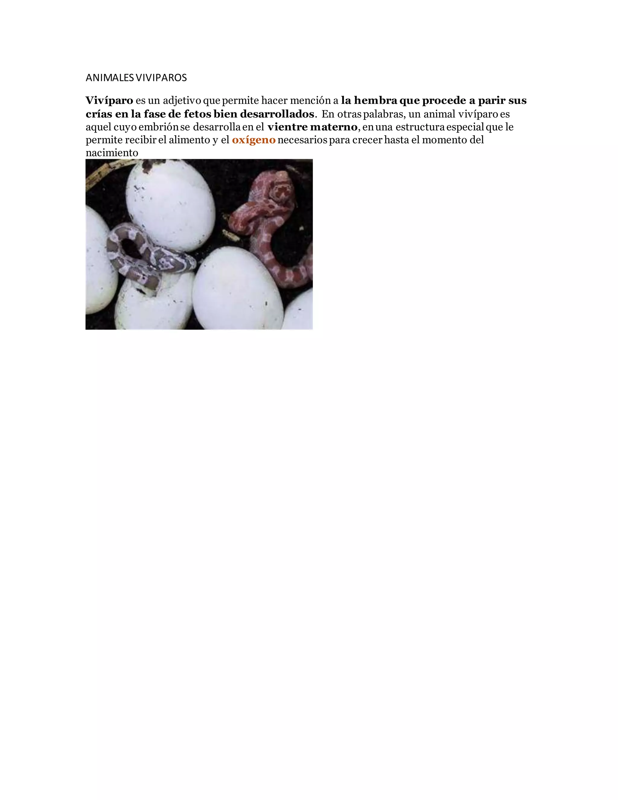 Animales viviparos | DOCX