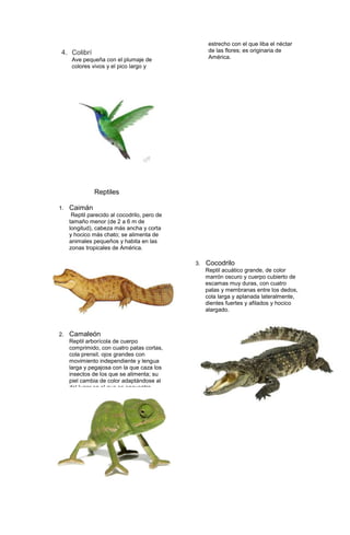 Animales vivíparos, oviparos, reptiles y aves | DOCX