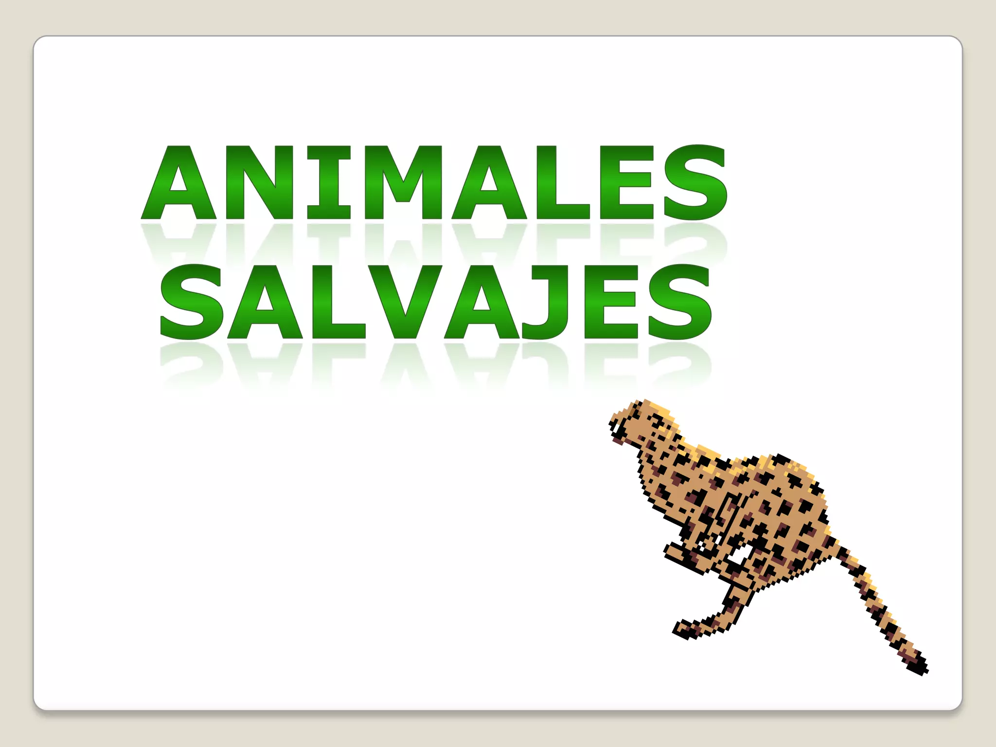 Animales y colores | PPTX