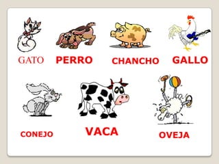 Animales y colores | PPTX