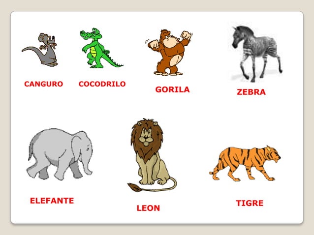 Animales y colores | PPTX