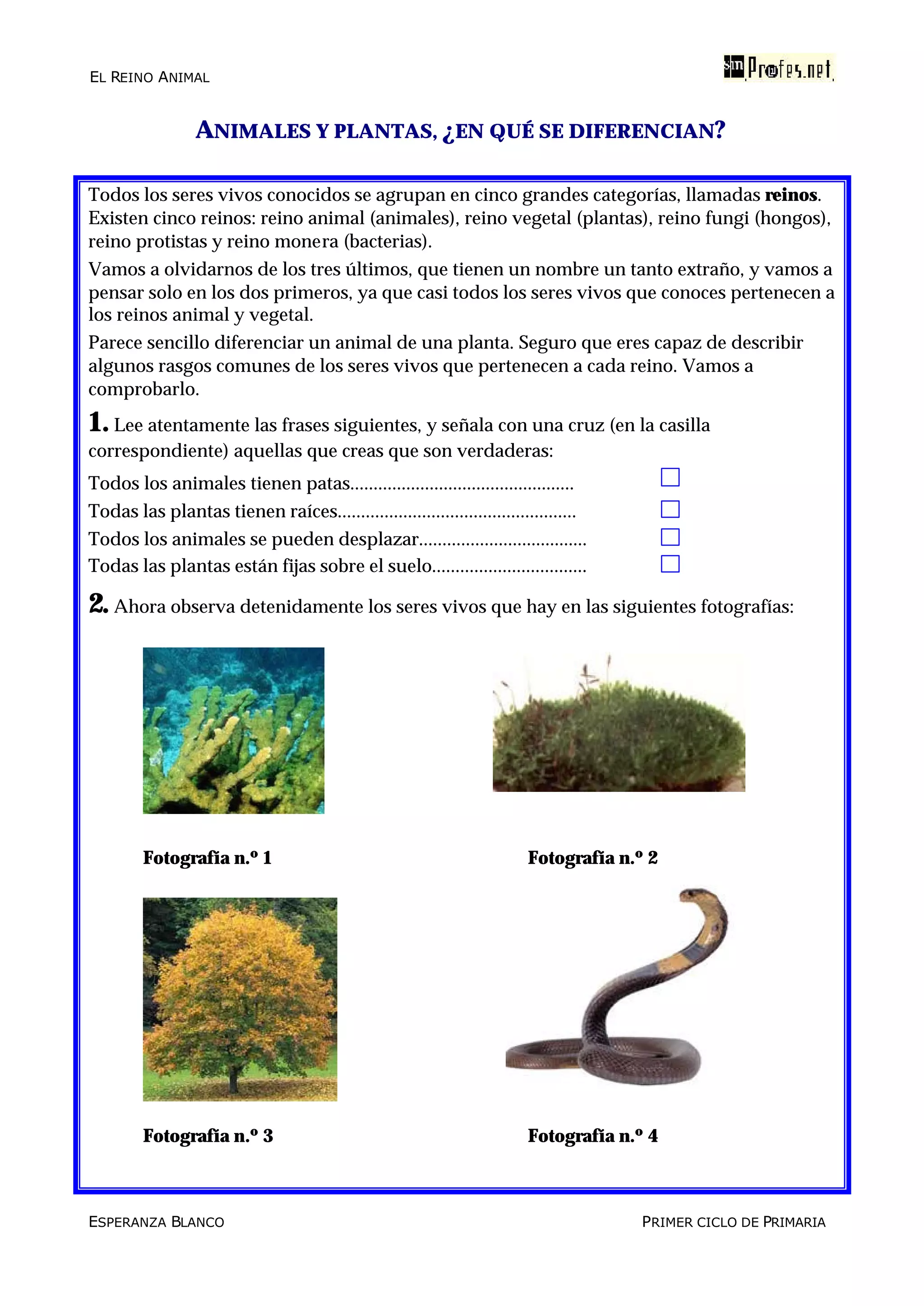 Animales y plantas | PDF