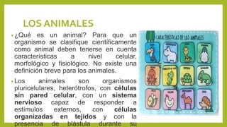 ANIMALES Y PLANTAS.pptx