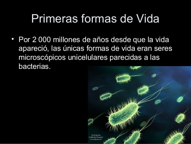 Primeras Formas De Vida En La Tierra Aparicion Y Evolucion - Citas ...