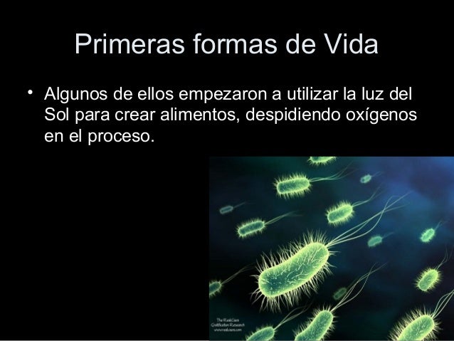 Las Primeras Formas De Vida Que Existieron En La Tierra - Descargar Pdf