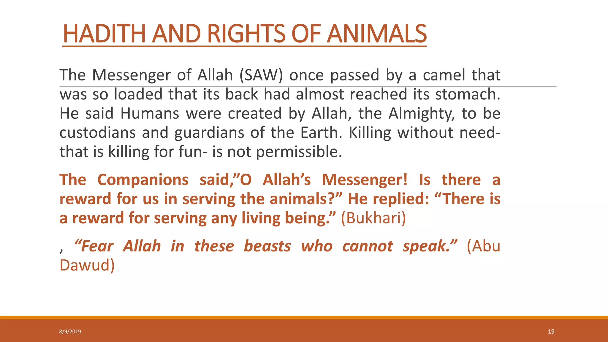 Animal ethics | PPTX