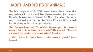Animal ethics | PPTX