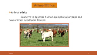 Animal ethics | PPTX