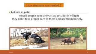 Animal ethics | PPTX