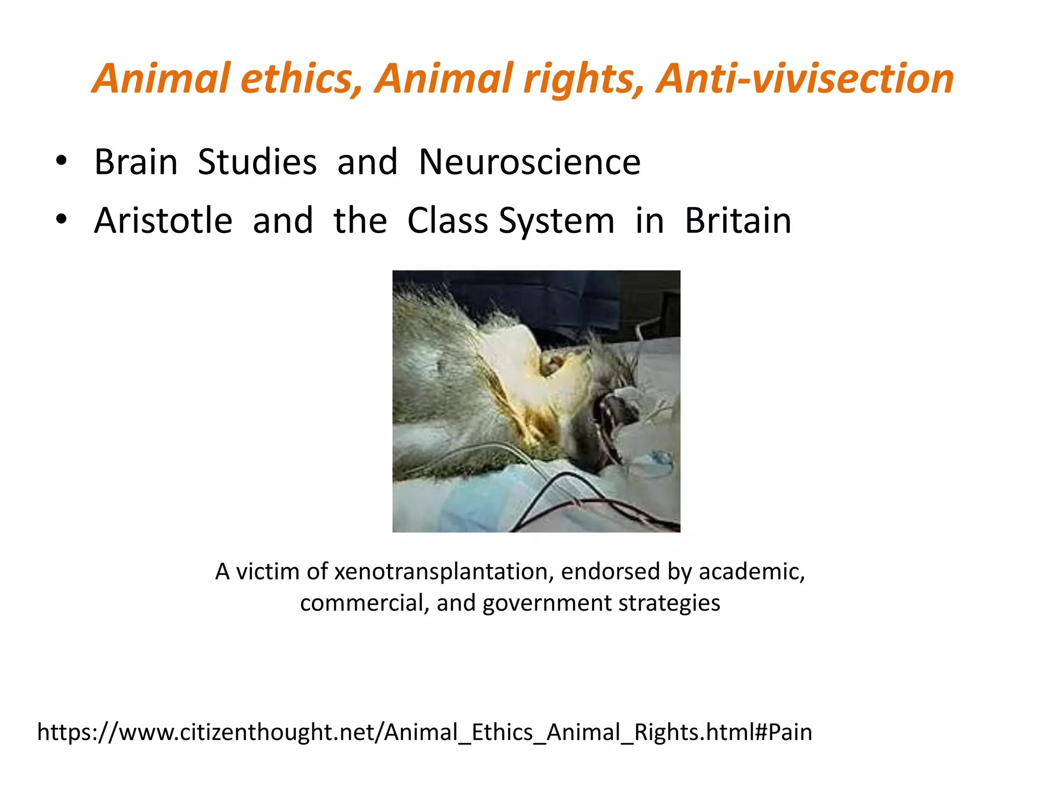 Animal ethics | PPTX