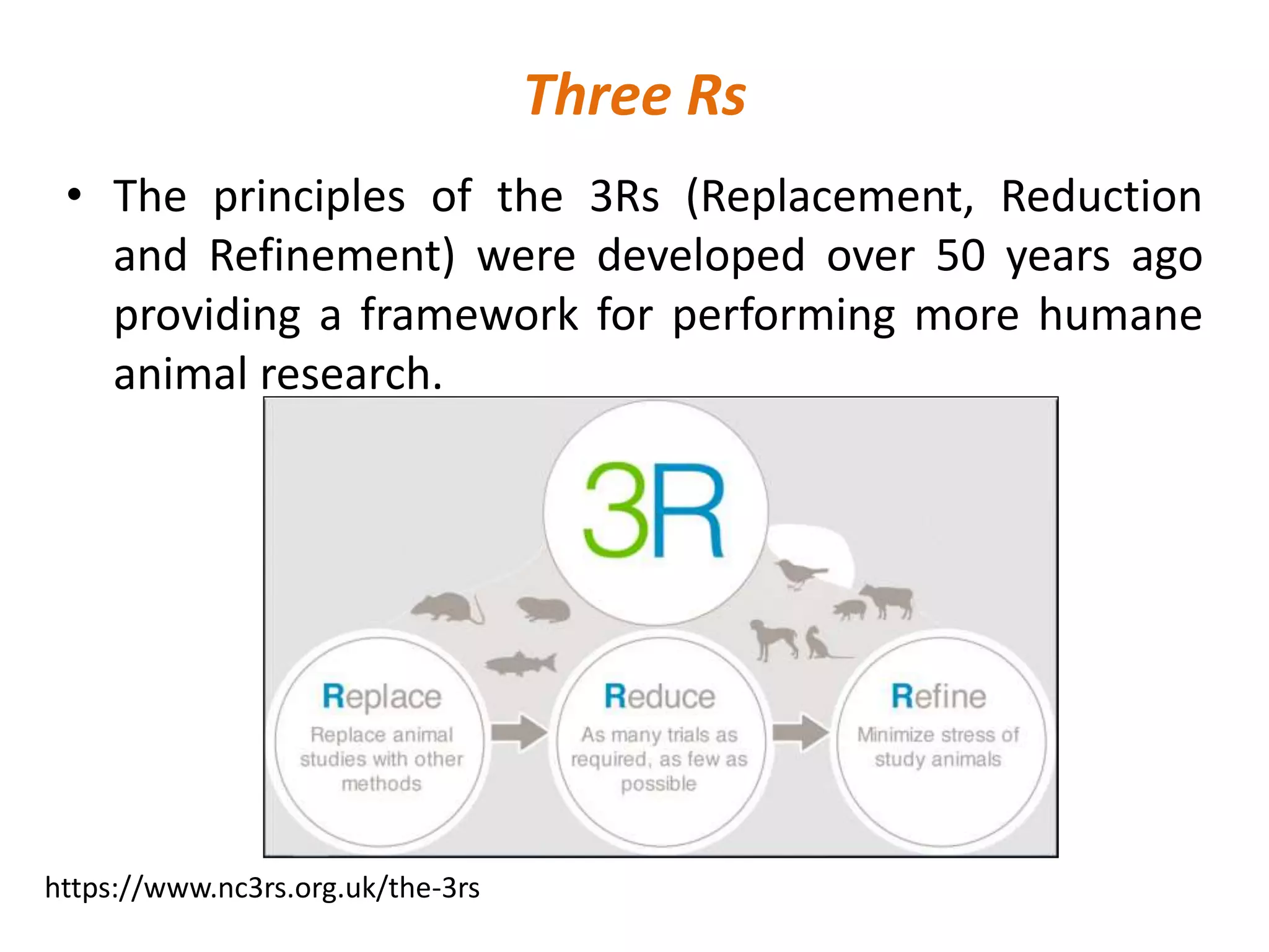 Animal ethics | PPTX