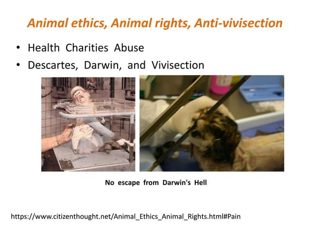 Animal ethics | PPTX