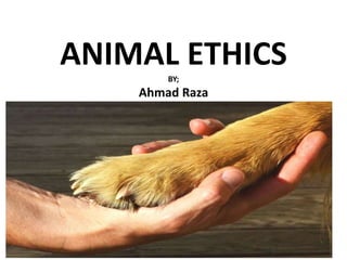 Animal ethics(2)(1) | PPTX