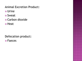 Animal excrete and defecate | PPTX
