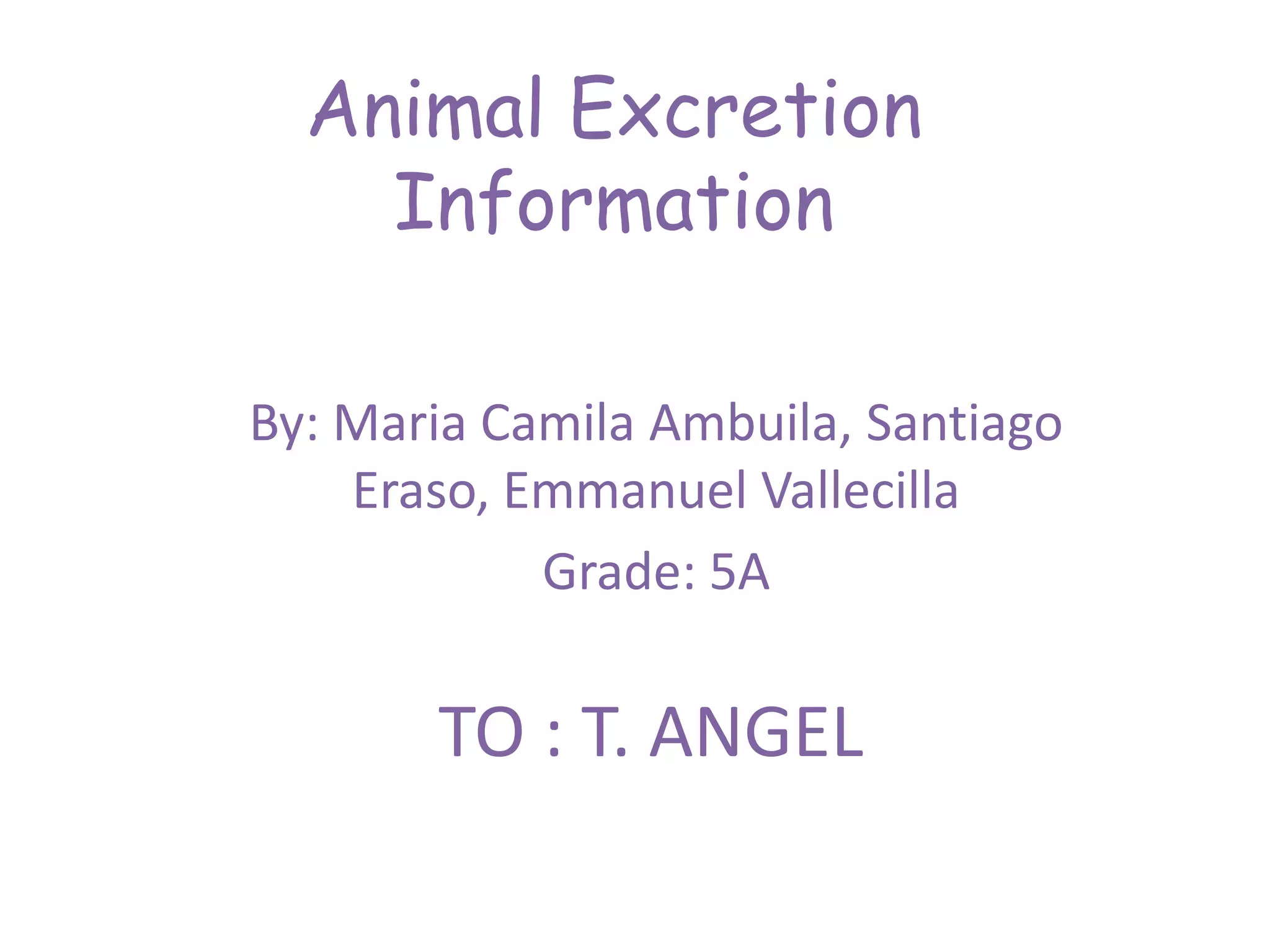 Animal excretion | PPTX