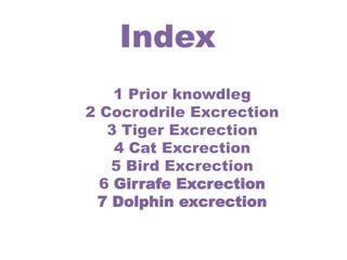 Animal excretion | PPTX