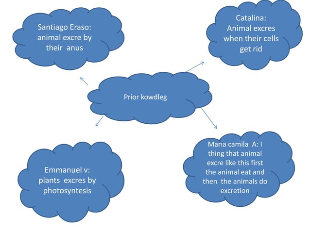 Animal excretion | PPT