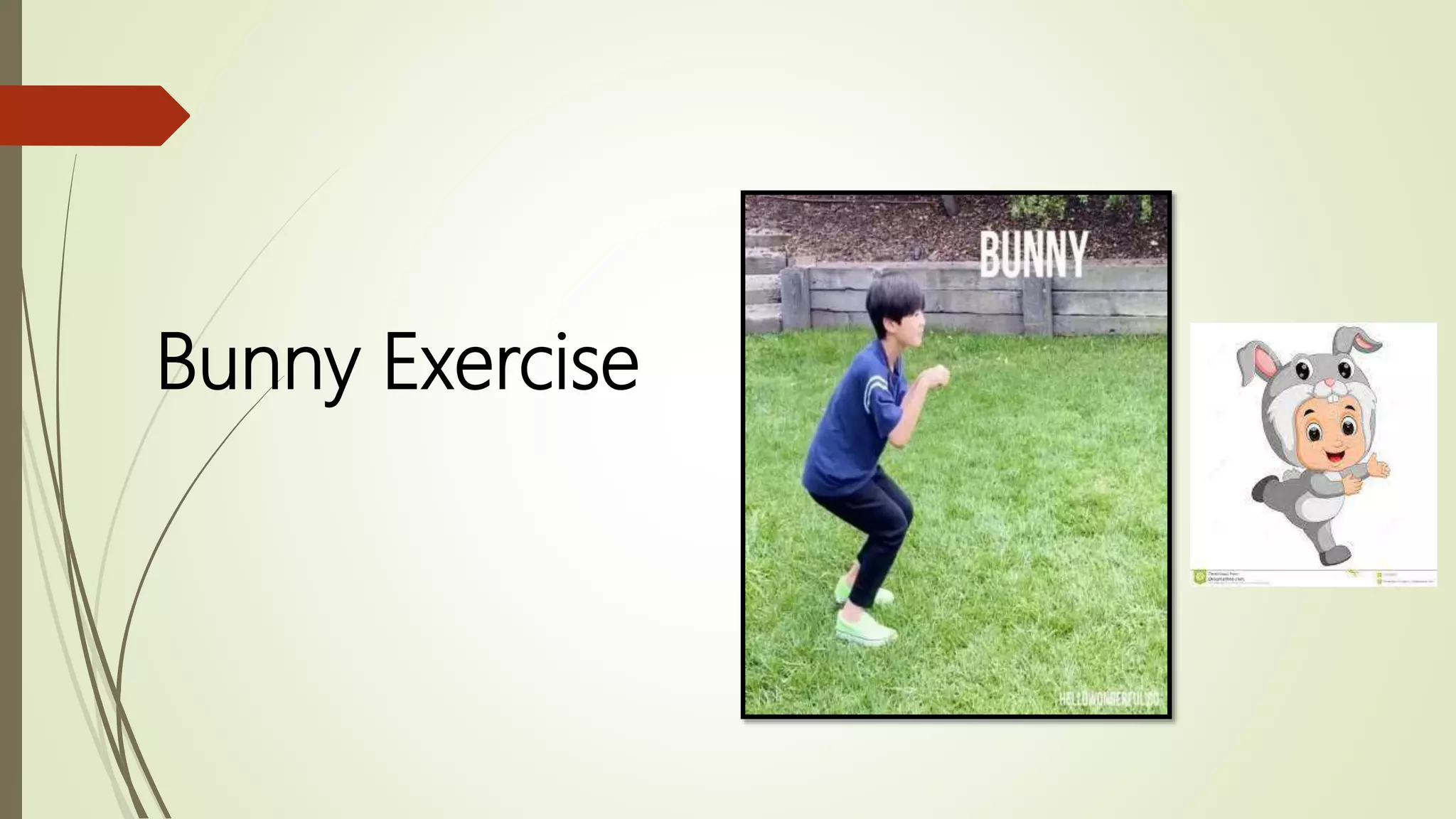 Animal exercises | PPTX