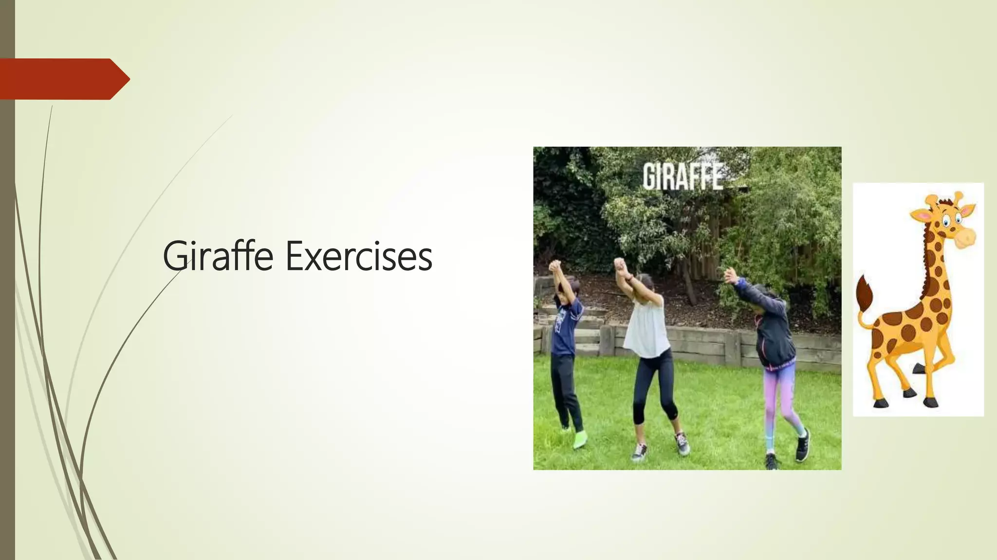 Animal exercises | PPTX