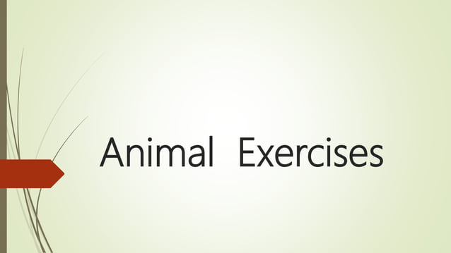 Animal exercises | PPT