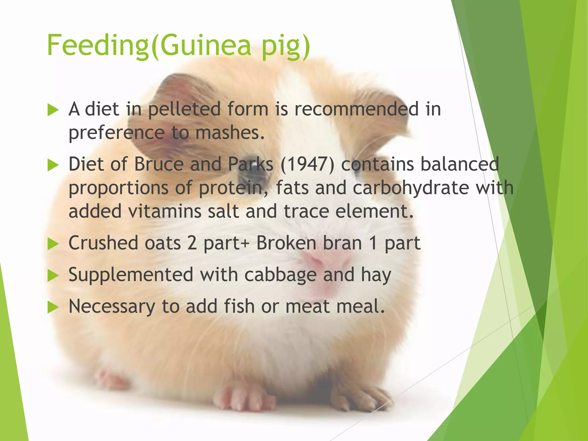 laboratory animals | PPTX