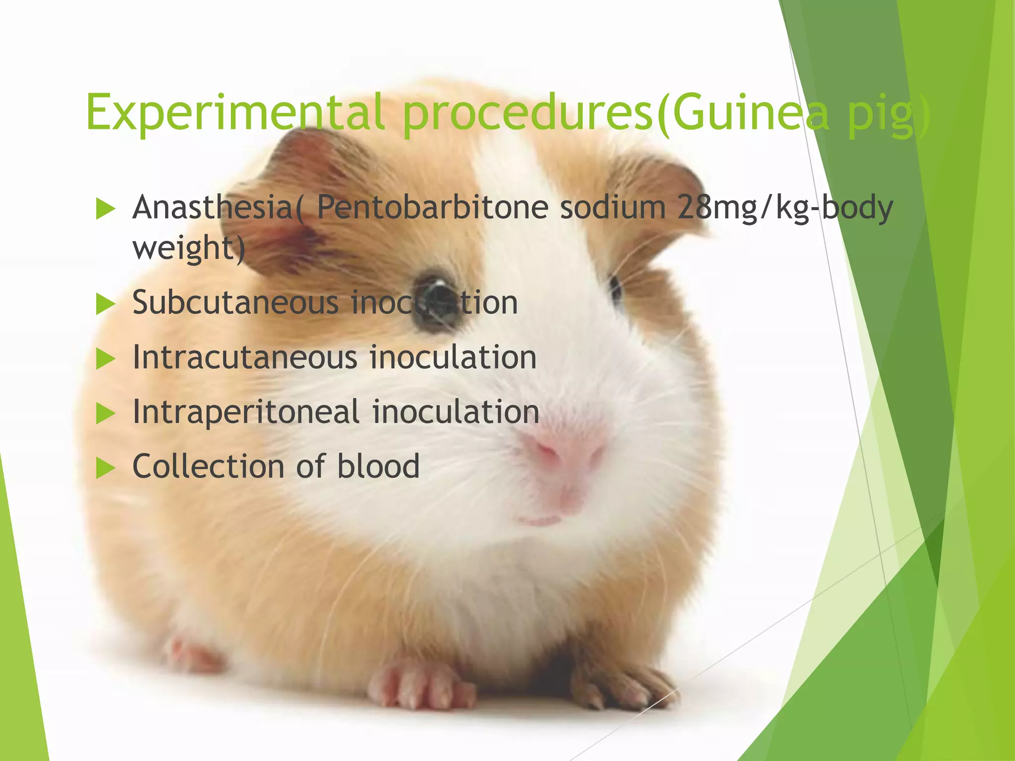 laboratory animals | PPTX