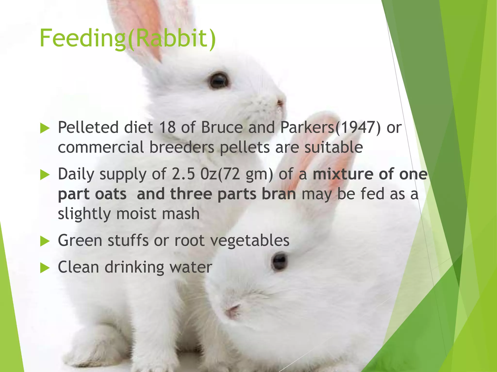 laboratory animals | PPTX