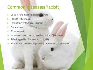laboratory animals | PPTX