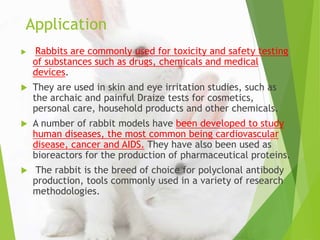 laboratory animals | PPTX