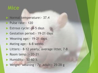 laboratory animals | PPTX | Veterinary Medicine | Pets