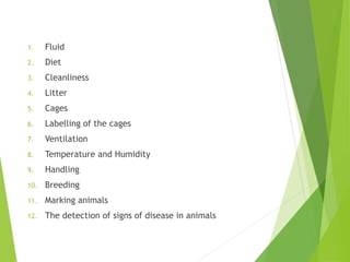 laboratory animals | PPTX