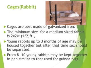 laboratory animals | PPTX