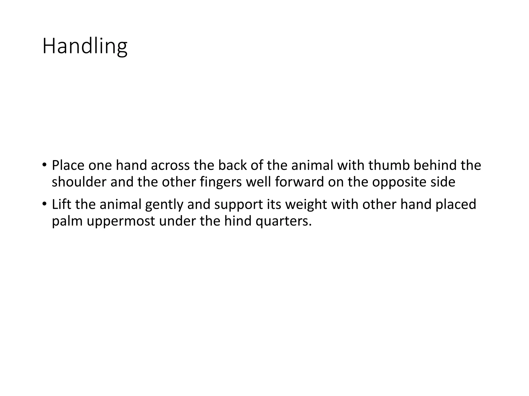 Handling of laboratory animal | PPTX