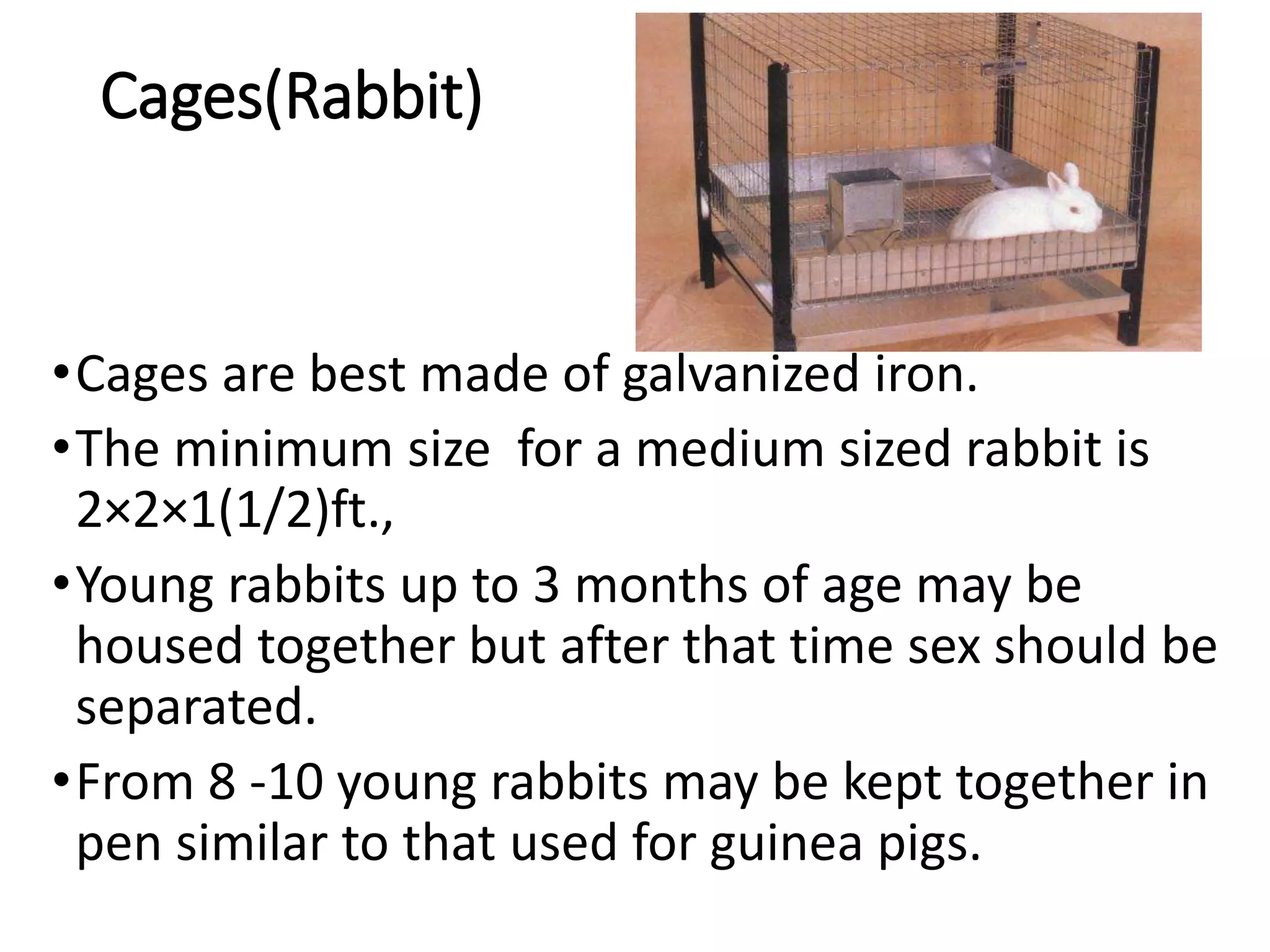 Handling of laboratory animal | PPTX