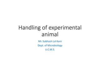 Handling of laboratory animal | PPTX