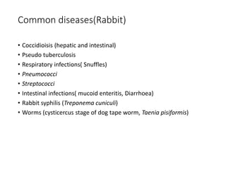 Handling of laboratory animal | PPTX